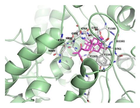 Structural Comparisons And Modeling Simulations For Cholesterol And Mab