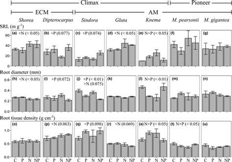 Specific Root Length SRL Ag Root Diameter Hn And Root Tissue Download Scientific