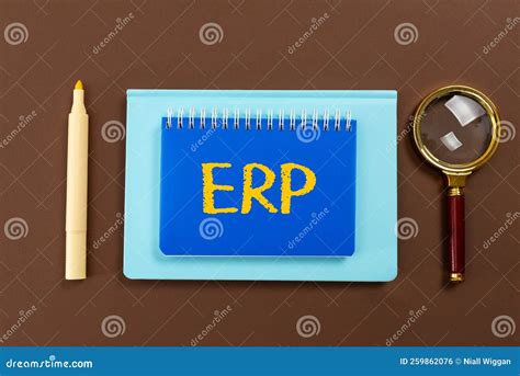 Writing Displaying Text Erp Business Overview Enterprise Resource