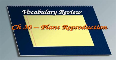 Ppt Vocabulary Review Ch 30 Plant Reproduction A Reproductive