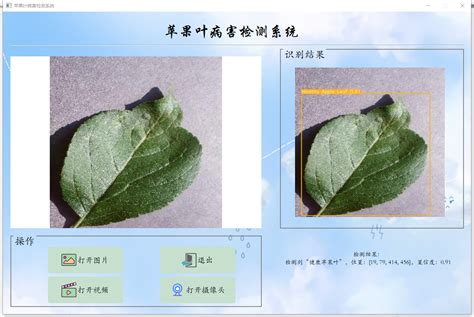 yolov8 pyqt5苹果叶病害检测（可以重新训练，yolov8模型，从图像、视频和摄像头三种路径识别检测） csdn博客