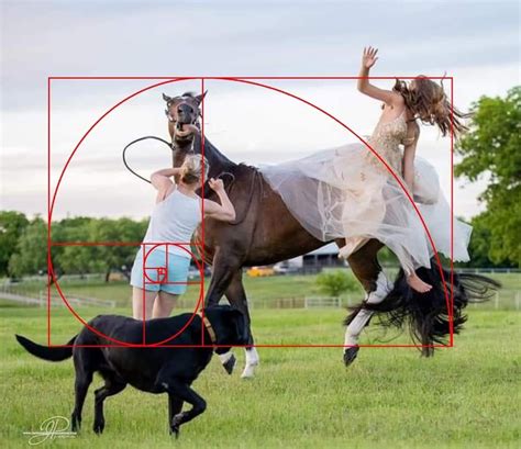 5 9 5 Fibonacci R Codehs