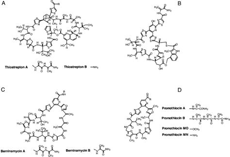 Chemical Structures Of Thiopeptide Inducers Of Ptipa Inducers Of Ptipa Download Scientific