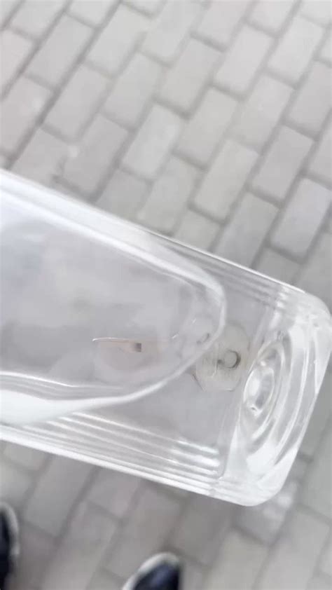 魔王 on Twitter 用贞操锁锁上自己的鸡巴再把钥匙扔掉是不是想到这样做脑子就高潮了这就是下贱的本质把仅剩的一把钥匙扔掉剩下的就只有锁废了 女S 男M 调教 锁奴