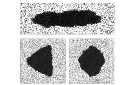 プログラム可能な物質に向けて：活性粒子に予期せぬ挙動を発見