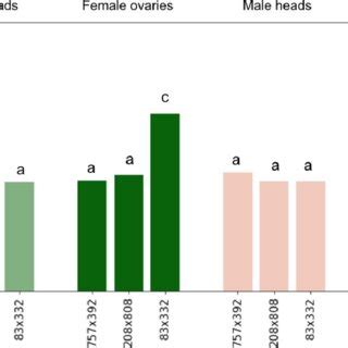 Sex Tissue And Cross Specific Proportion Of CR Effects CR Effects Download Scientific