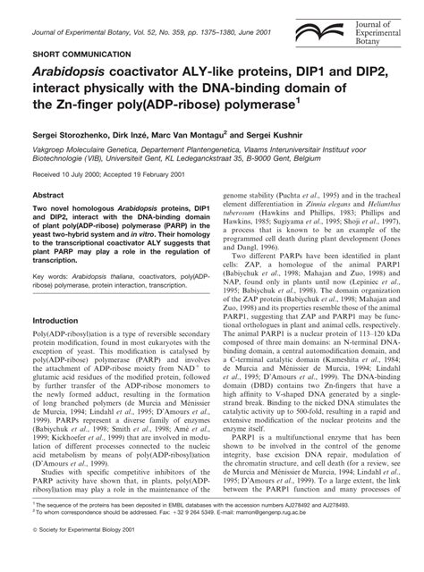pdf arabidopsis coactivator aly like proteins dip1 and dip2