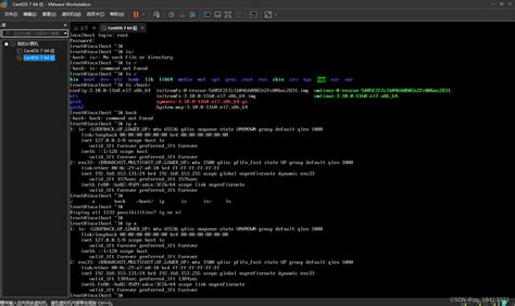 第一天作业 Csdn博客