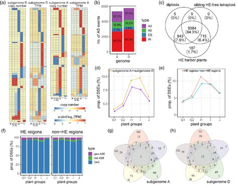 Characteristics Of Alternative Splicing As And Their Response To The