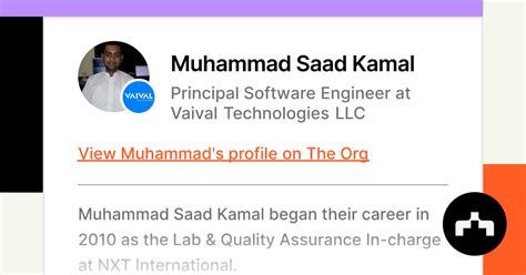 Muhammad Saad Kamal - Principal Software Engineer at Vaival Technologies LLC | The Org