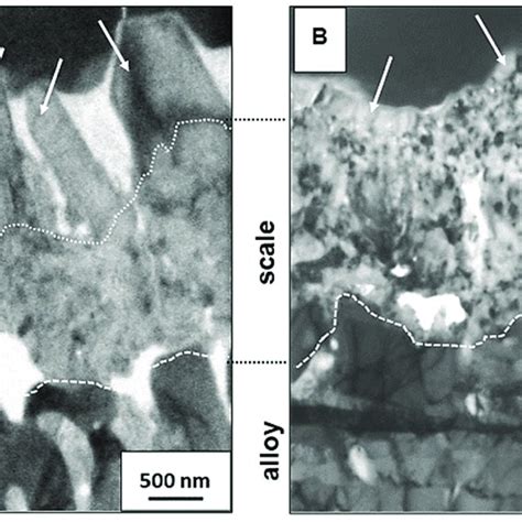 Surface Topography Of The 718plus Superalloy After Oxidation At 850 • C