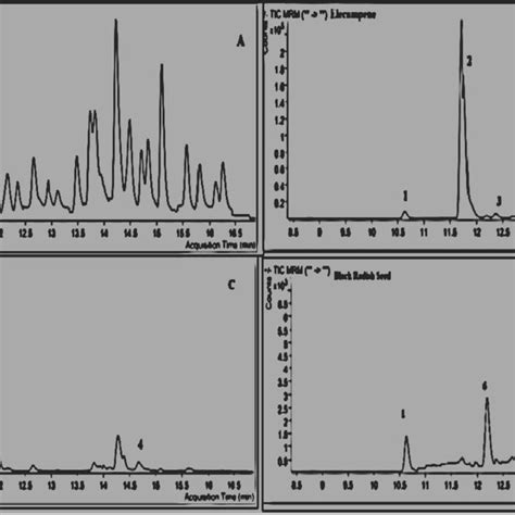 LC MS MS Chromatograms Of Phenolic Compounds A Total Chromatogram B Download Scientific
