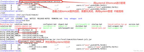 实操nginx（4层代理 7层代理） tomcat多实例部署，实现负载均衡和动静分离 nginx 四层反向代理 csdn博客
