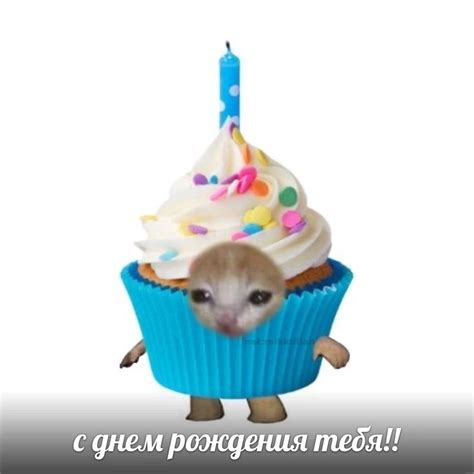 Пин от пользователя Azmogelang на доске День рождения С днем рождения кошки Смешные