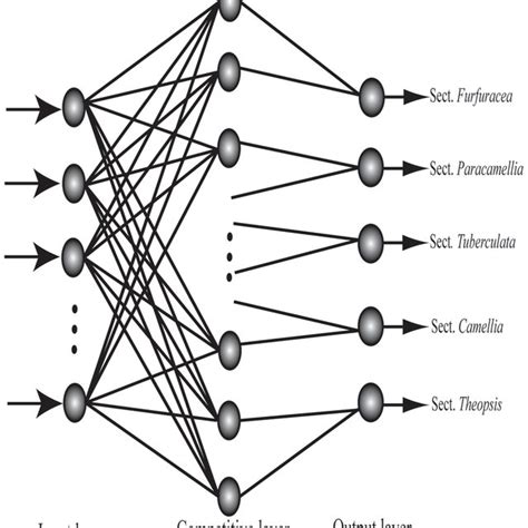 Two Type Of Activation Functions A Hardlimit Function Used In Neural