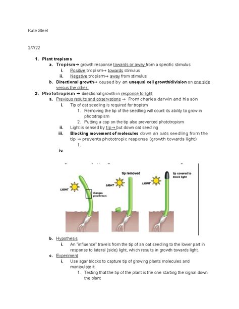 Tropisms Sara Wittman Bio 002 Kate Steel 2 7 Plant Tropisms A Tropism→ Growth Response