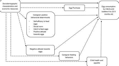 Analytic Framework Model A Included Relationships Indicated By Solid Download Scientific