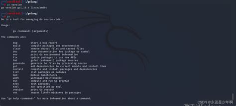 kali linux安装go语言环境详解 kali安装go环境 csdn博客