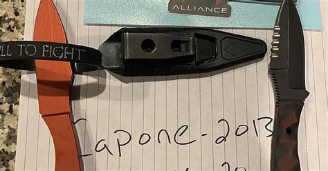 Dynamics Alliance Razorback Album On Imgur