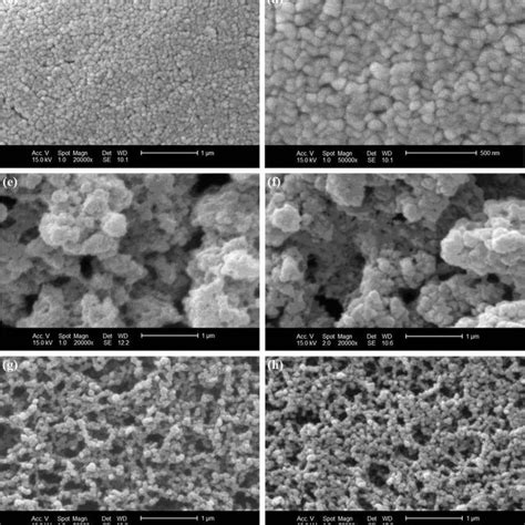 E F Show Sem Micrographs Of Imprinted And Nonimprinted Polymers Download Scientific Diagram