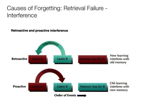 Interference Memory Psychology