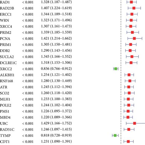 Identification Of Dna Repair Genes Associated With Prognosis A Download Scientific Diagram