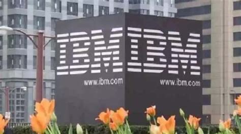 Our Focus On Results Not Activities Says IBM Consulting Will Not Penalize Employees For