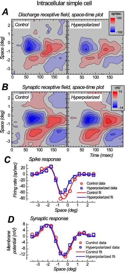 Effects Of Hyperpolarization Of The Membrane Potential On The Discharge