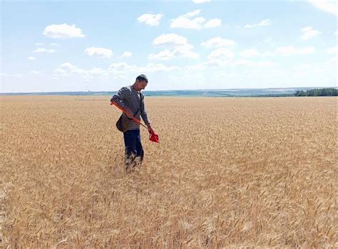 Агрохимическое обследование земель сельхозназначения на территории Мариуполя в полном разгаре