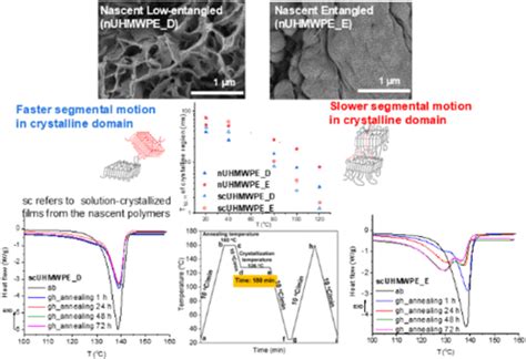 Influence Of Topological Constraints On The Segmental Motion In The Crystalline Region Of