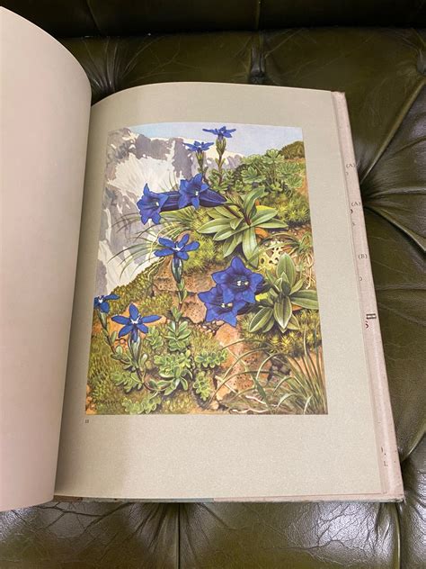 Art And Nature In Colour Alpine Flowers By Robert Paul A And Schroeter