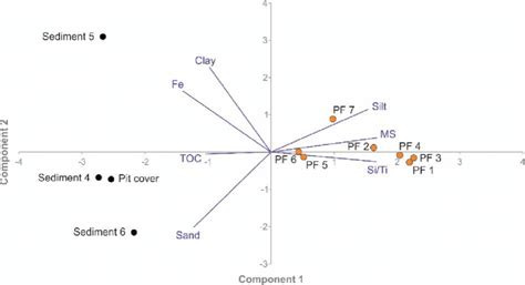 Results Of Principal Component Analysis Projection Of Variables Toc