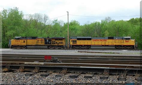 Up 9819 And Up 8147