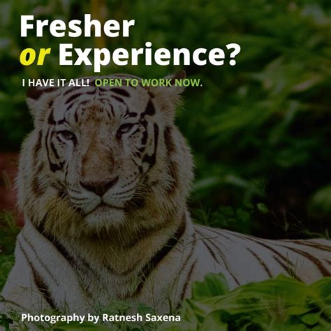 Ratnesh Saxena On Linkedin Cfbr Uxjobs Designjobs Jobs2023