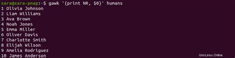 Gawk Linux コマンドと例