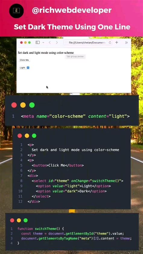 Nina Coder Tech Frontend Developer Set Dark Theme Using One Line