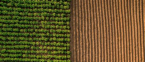 Emission Factors In Carbon Footprint Calculations