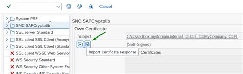 sap gui single sign on based on ssl certificates a sap community