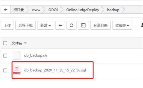 青岛OJ QingdaoU OnlineJudge 的开发与使用 备份与恢复 longkui 博客园
