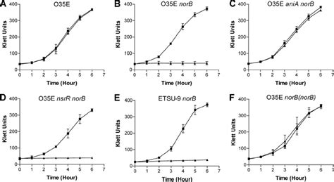 Effect Of No 2 Ϫ On Growth Of The Wild Type Mutant And Repaired