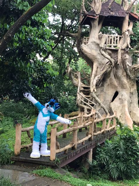 1913 Best Treehouse Images On Pholder Cozy Places Interestingasfuck And Cabin Porn