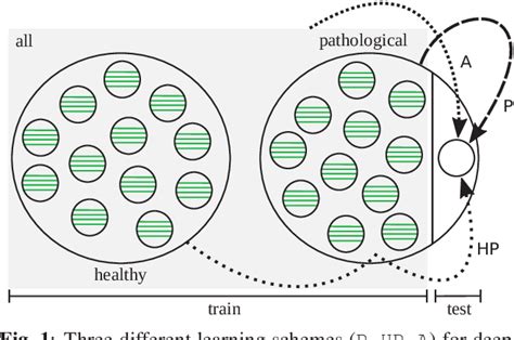 Figure 1 From Deep Convolutional Encoder Decoders For Deltoid Segmentation Using Healthy Versus