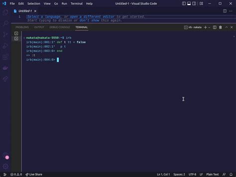 Terminal Broken By Errors In Irb Ruby Issue Microsoft Vscode GitHub