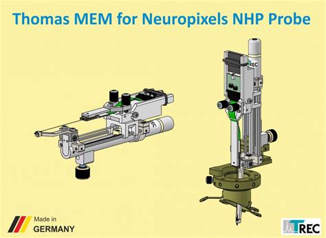 Neuropixels Mem Thomas Recording
