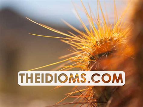 Spanner In The Works Meaning Origin Example Sentence History