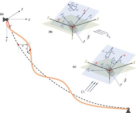 A Model Of A Catenary Riser Undergoing Multidirectional Viv With An Download Scientific