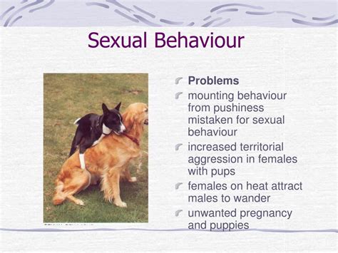 Ppt Behavioural Patterns Powerpoint Presentation Free Download Id
