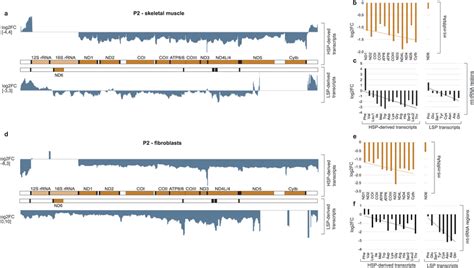 Mitochondrial Transcriptome In Tefm Patients A Transcriptome Wide Download Scientific Diagram