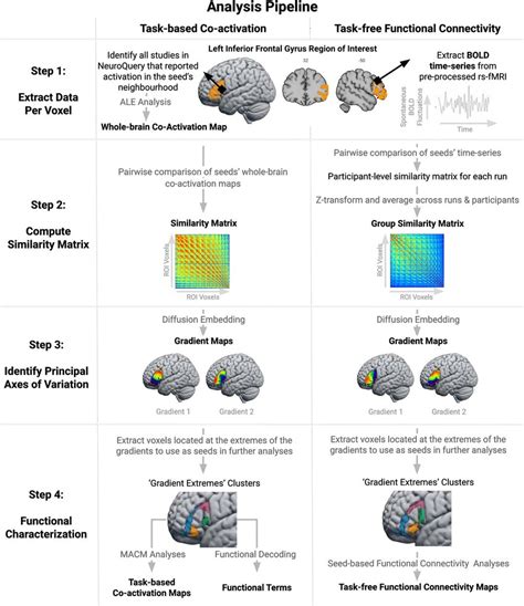 Schematic Overview Of The Analytic Pipeline The Output Of Each Download Scientific Diagram