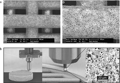 examples detailing the typical macro and microstructures obtained